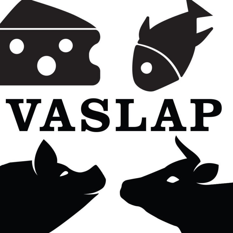 VASLAP BURGER | StreetKitchen szerint is kihagyhatatlan hamburger 7 ...